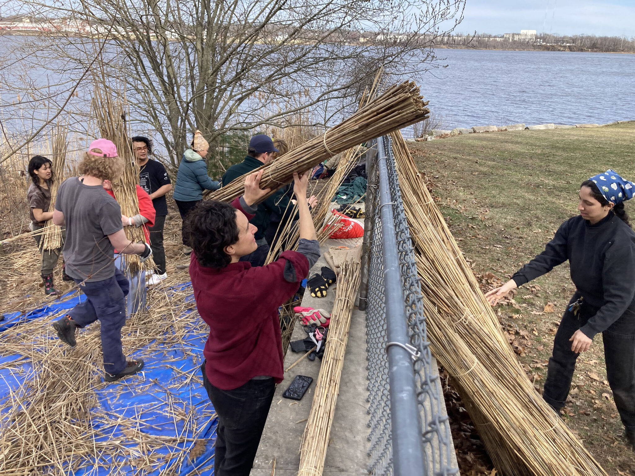 Eli - Providence Commemoration Lab